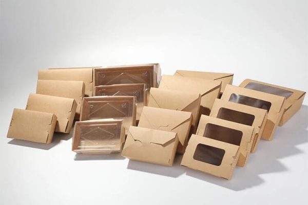 Biodegradable chicken recyclable boxes take out hot fast food fried ...