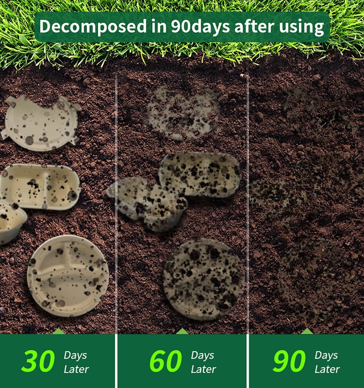 Substitute For Biodegradable Materials Puts Glorious Greatly﻿ After The ...